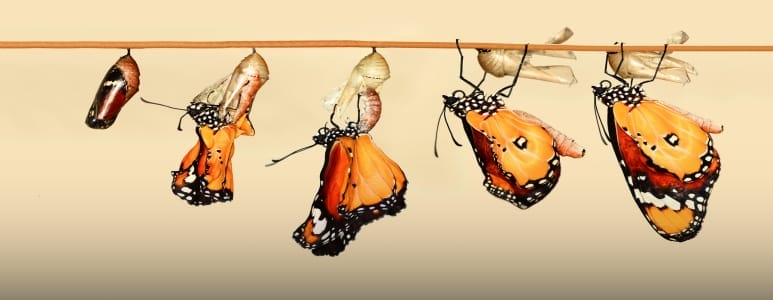 Exploring Change Methods: A Journey from Subtle to Direct Approaches ...